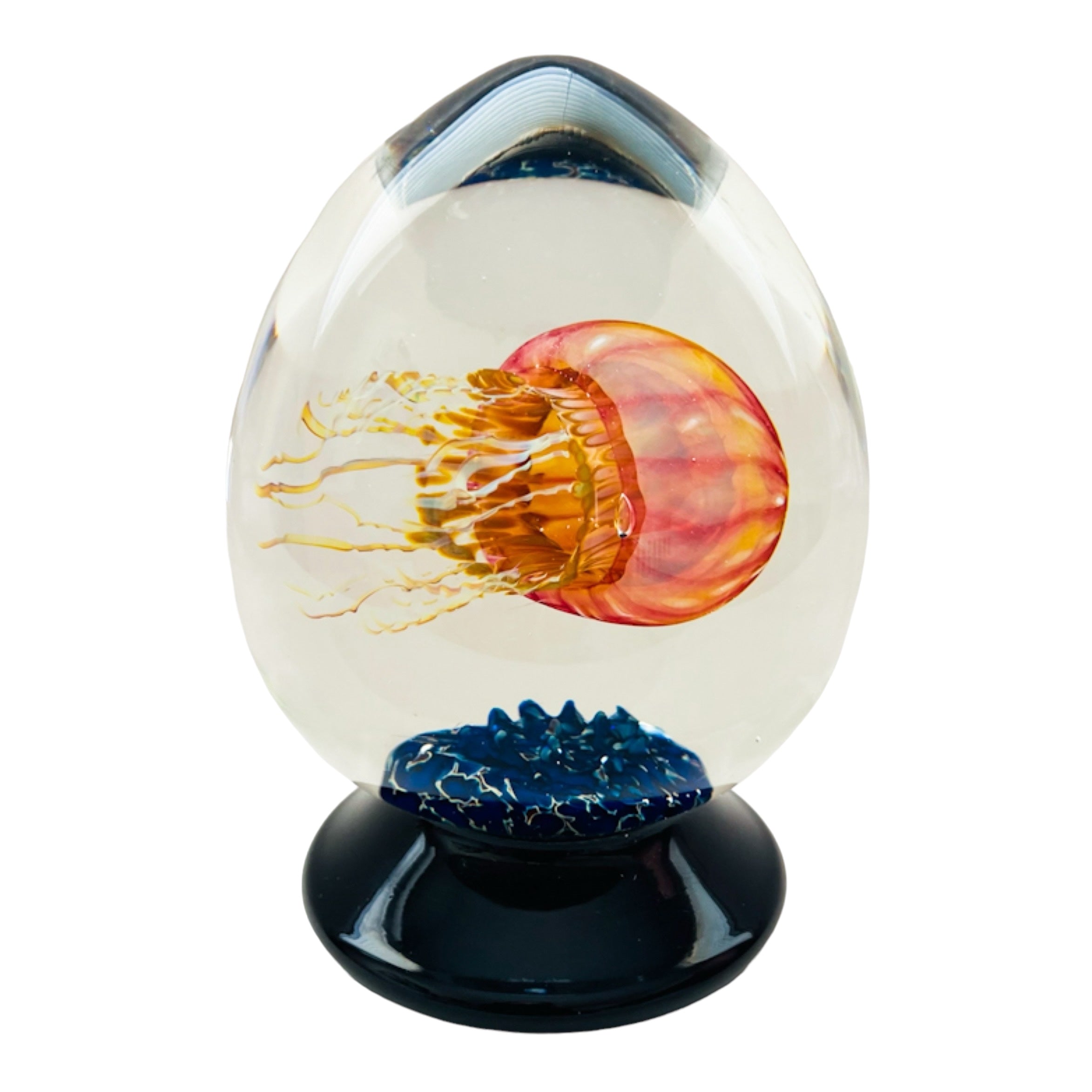 The History of the Tennis Racket Shadow Box Wall Art Hanging Sports ...