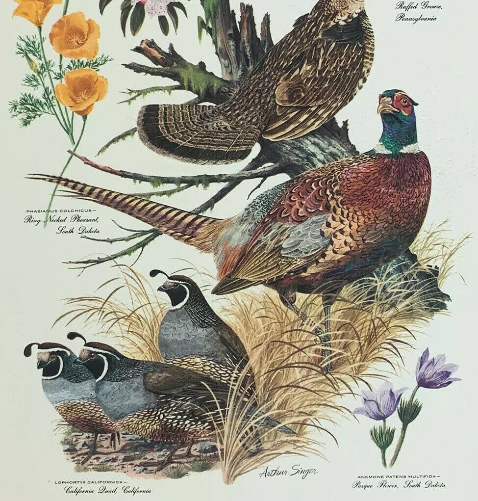 Arthur Singer Bird Prints