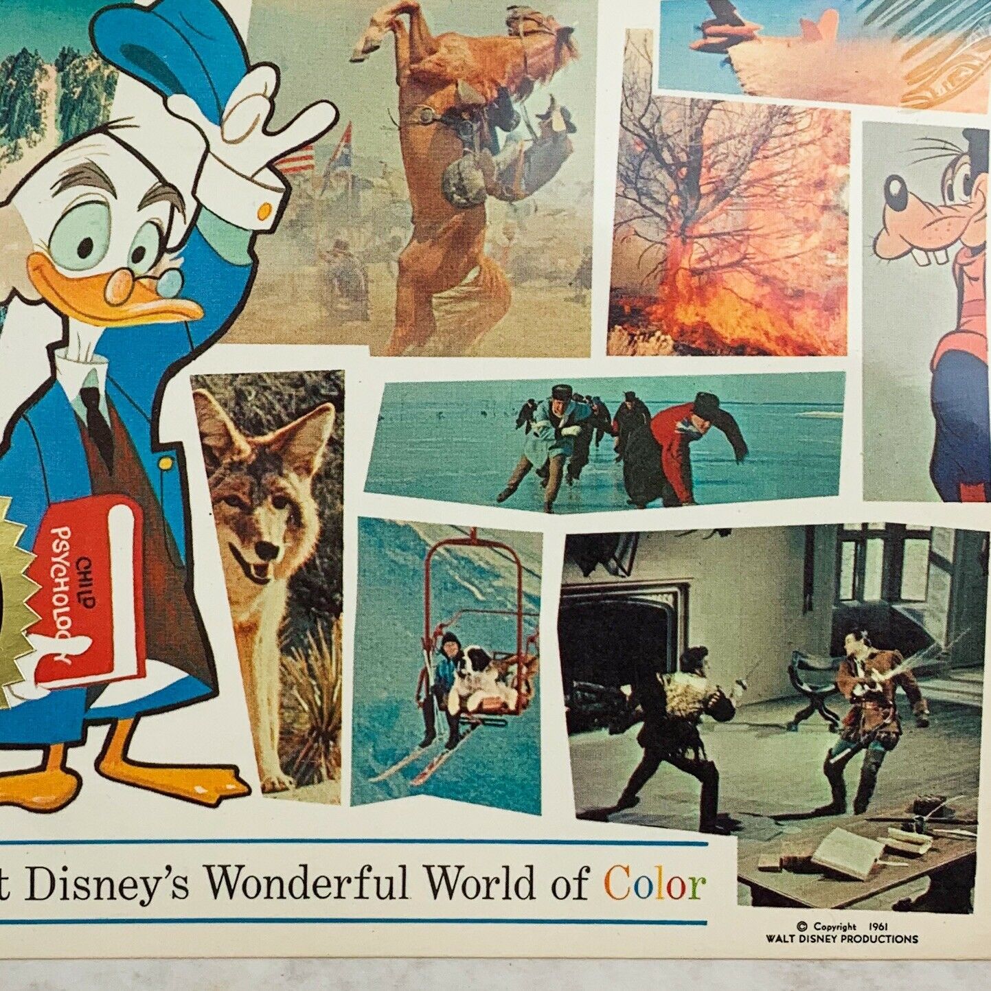 1961 Walt Disney's Wonderful World of Color with Ludwig von Drake Post ...